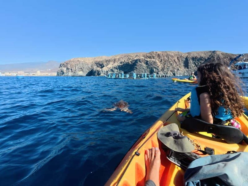 Tenerife: Kayak & Snorkel Tour with Snacks & Sea Life Safari - Who Will Love This Tour?