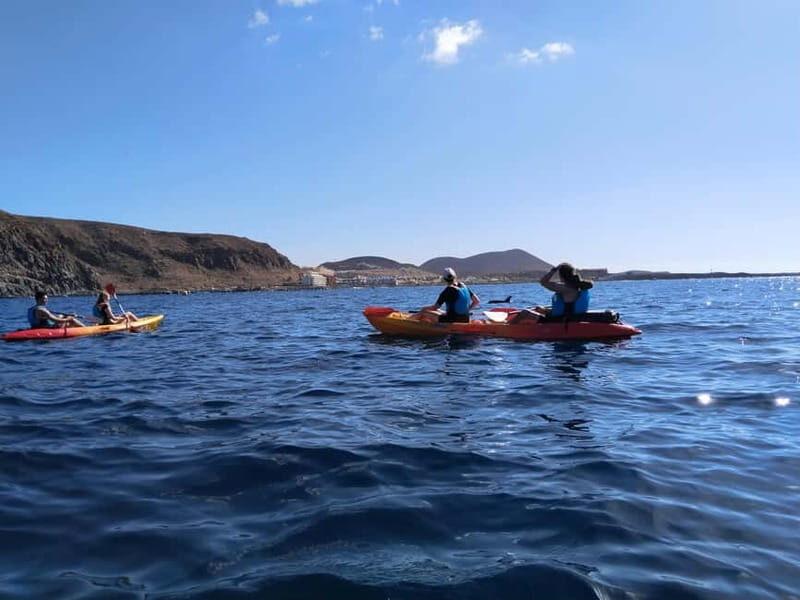 Tenerife: Kayak & Snorkel Tour with Snacks & Sea Life Safari - Final Thoughts