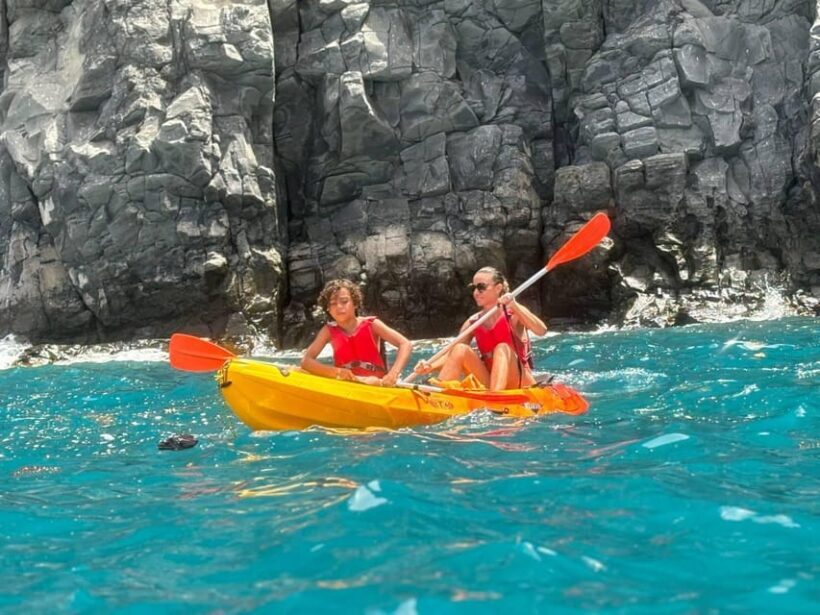 Tenerife: Kayak & Snorkeling, Marine Fauna Watching - An Overview of the Tour Experience