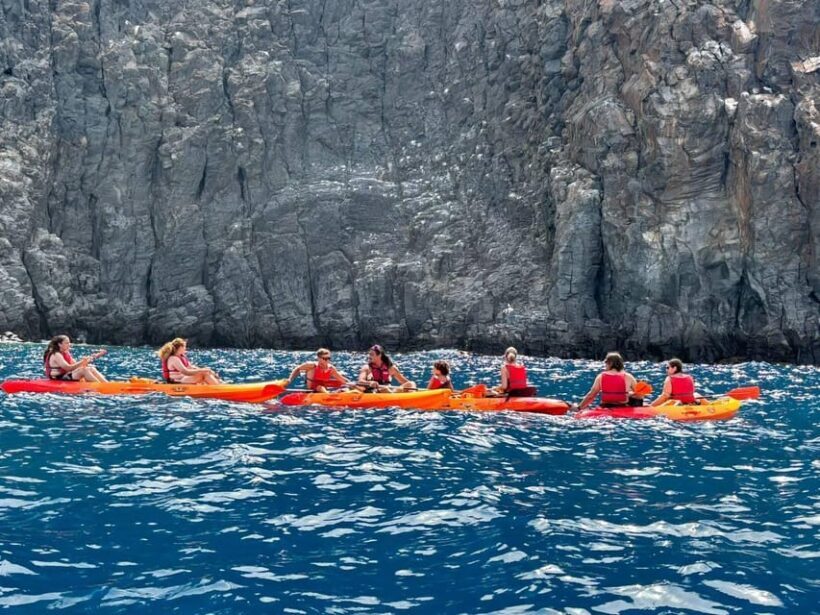 Tenerife: Kayak & Snorkeling, Marine Fauna Watching - Who Should Consider This Tour?