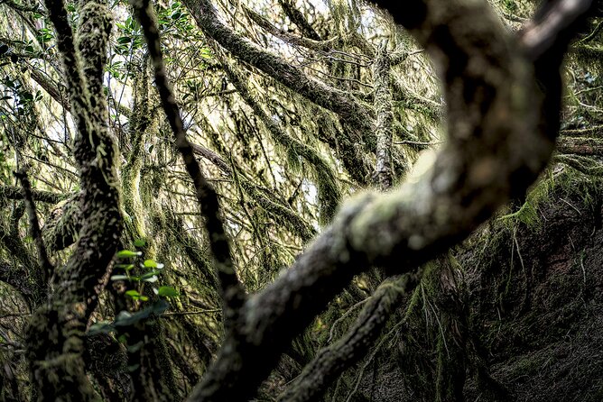 Tenerife Landscape Photography Workshops 10 hours - FAQ