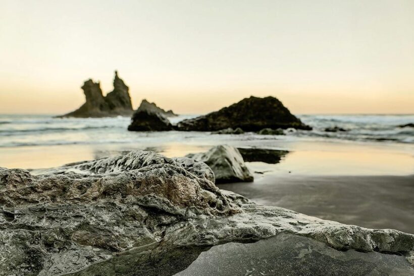 Tenerife: Landscape Photography Workshops, 10 hrs. - An Overview of the Tenerife Landscape Photography Workshop