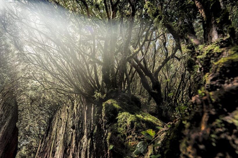 Tenerife: Landscape Photography Workshops, 10 hrs. - Final Thoughts