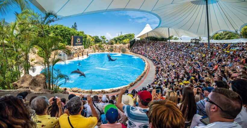 Tenerife: Loro Parque Entry Ticket - Who Should Visit Loro Parque?
