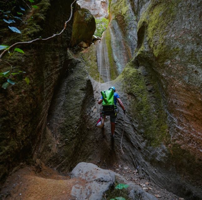 Tenerife: Los Arcos Canyoning Tour with Guide - What’s Included and What to Bring