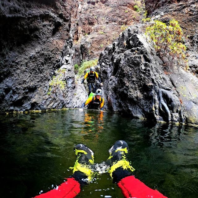 Tenerife: Los Carrizales Water Canyoning Tour - A Deep Dive into the Los Carrizales Water Canyoning Tour