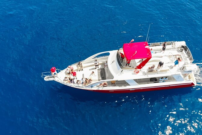 Tenerife Los Cristianos: Whale and Dolphin Eco-Yacht and Swim Stop - Meeting and Departure Details