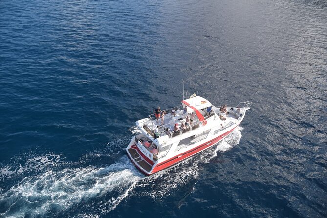 Tenerife Los Cristianos: Whale and Dolphin Eco-Yacht and Swim Stop - Accessibility and Participation Information