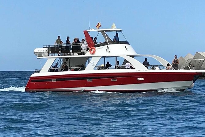 Tenerife Los Cristianos: Whale and Dolphin Eco-Yacht and Swim Stop - The Sum Up