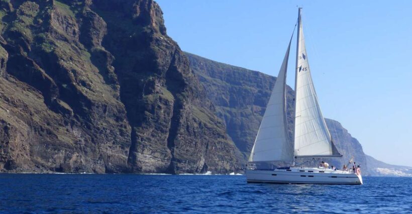 Tenerife: Los Gigantes Whale Watching Cruise by Sail Boat - The Experience: A Deep Dive into the Cruise