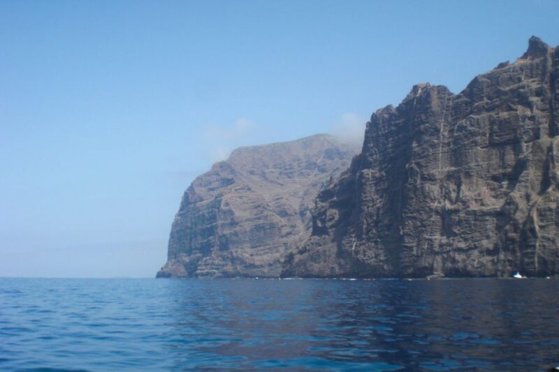 Tenerife: Luxury Private Whale & Dolphin Watching Tour - Authentic Reviews