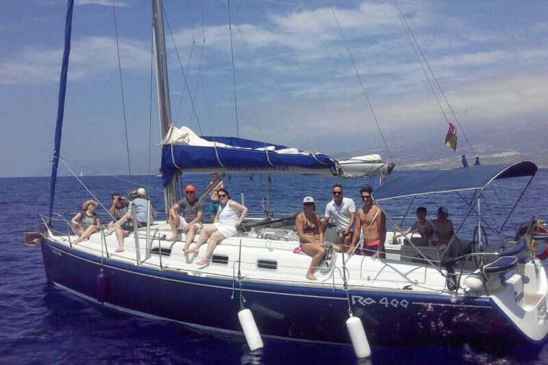 Tenerife: Luxury Private Whale & Dolphin Watching Tour - Who Should Book This Tour?