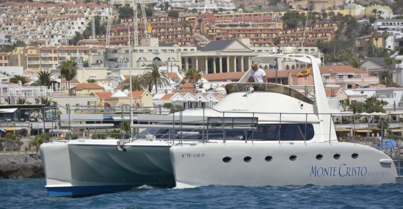 Tenerife: Marine-Life Tour with Transfer, Buffet and Drinks - What to Expect: A Typical Day on the Water