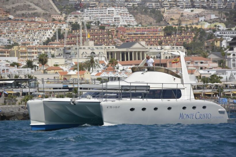 Tenerife: Marine-Life Tour with Transfer, Buffet and Drinks - Snorkeling and Swimming: A Refreshing Break