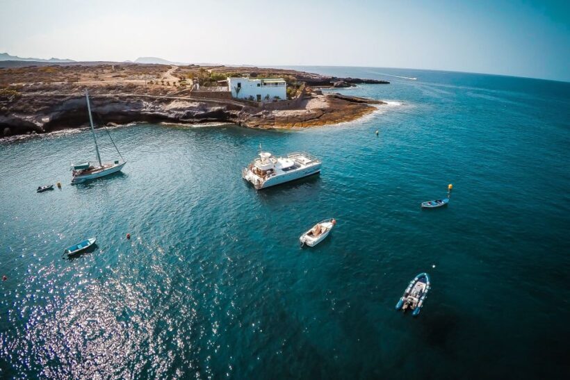 Tenerife: Marine-Life Tour with Transfer, Buffet and Drinks - Group Size and Comfort