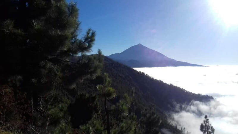 Tenerife: mindfulness experience for well-being - What You Can Expect from the Experience