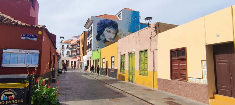 Tenerife: mindfulness experience for well-being - The Setting and Logistics