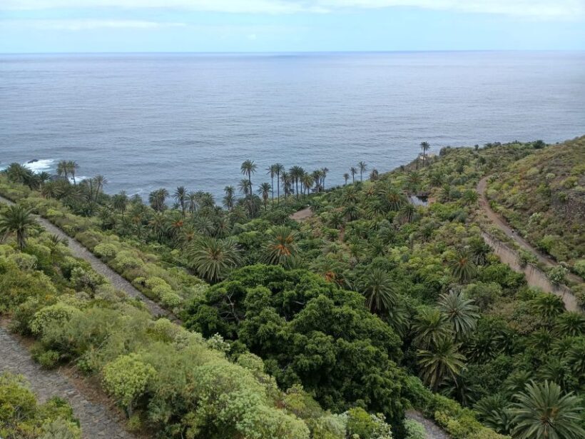Tenerife: North Coast Landscapes Private Day Tour - Who Will Love This Tour?