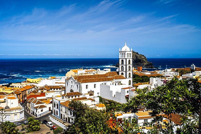 Tenerife North Private Tour: Through Villages and Ports - Comfort and Amenities