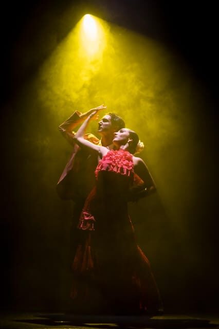 Tenerife : Olé Flamenco Show by Fran Chafino Ticket - Introduction: A Night of Flamenco in Tenerife