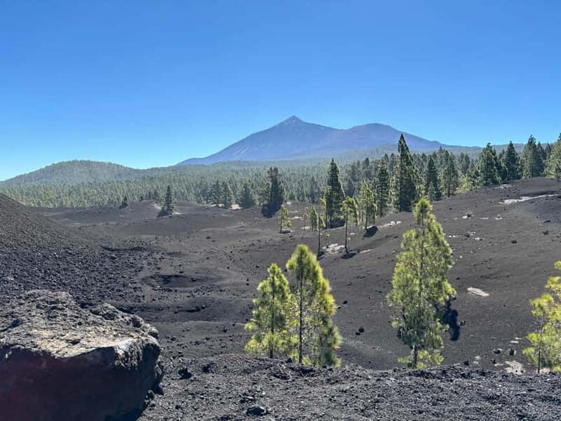 Tenerife: premium e-bike ride at Chineyro volcanic area - What Makes This E-Bike Tour Special?