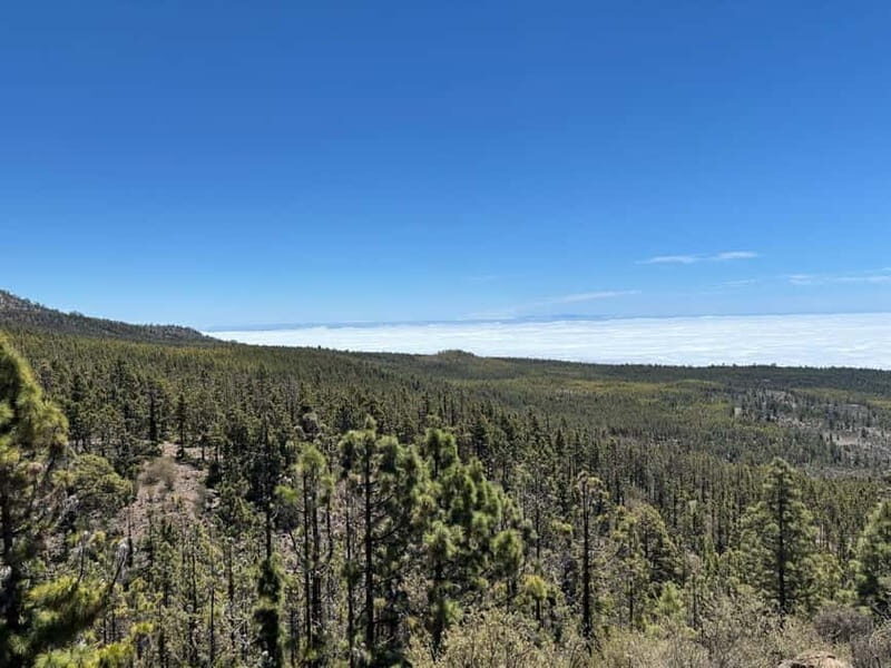 Tenerife: premium e-bike ride at Vilaflor- Lunar Landscape - Starting Point and Transfer Logistics