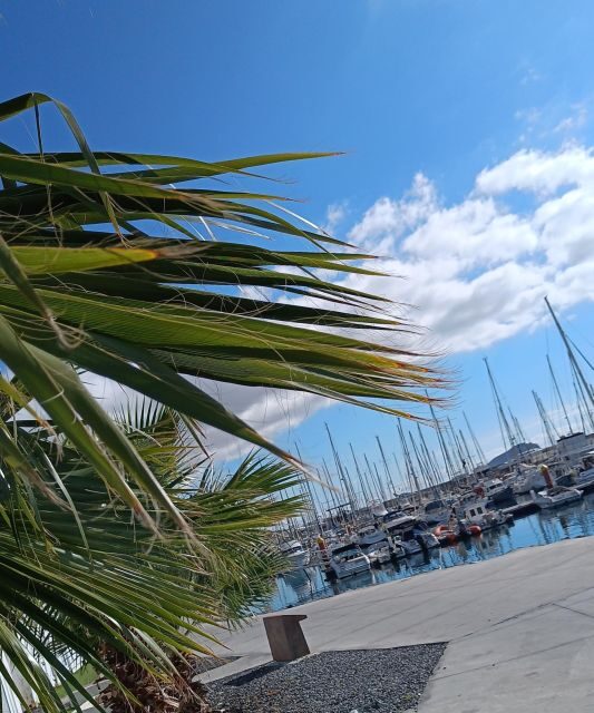 Tenerife: PRIVATE Catamaran cruise with Lunch and Drinks - Practical Tips for Your Trip