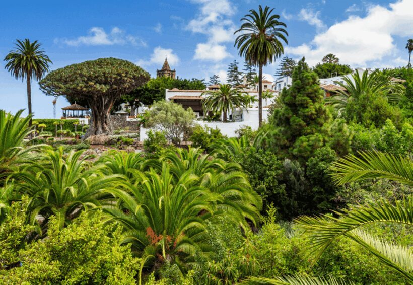 Tenerife: Private Day Tour of the Island with Hotel Pickup - What to Expect on the Tour