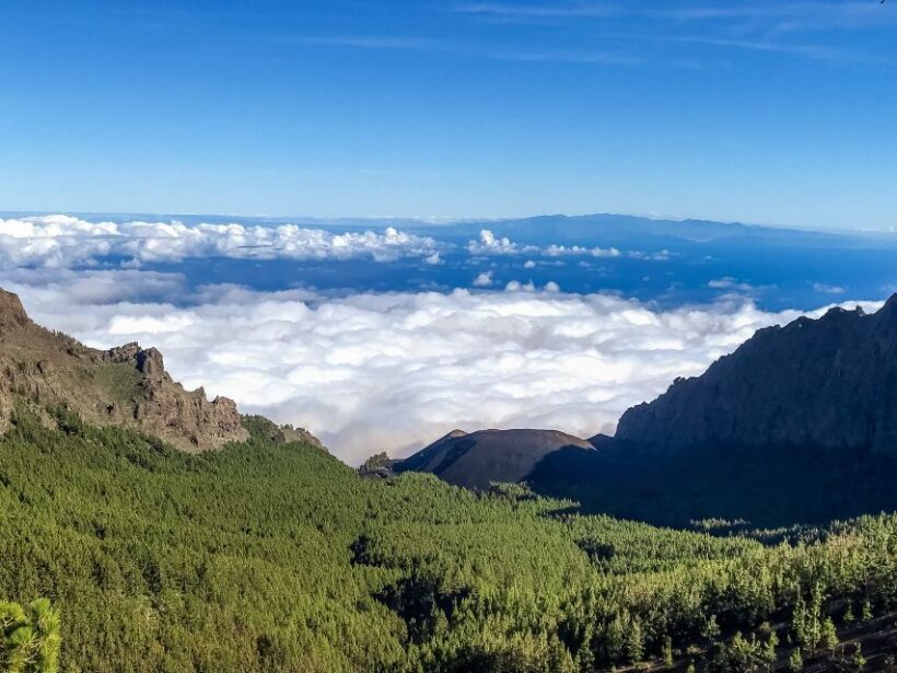 Tenerife Private Tour: Teide and Flavors of The North - An In-Depth Look at the Tenerife Private Tour