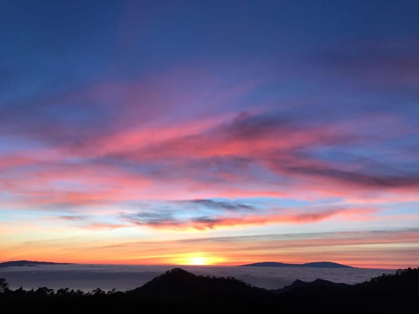 Tenerife: Private VIP Tour Teide National Park - The Sum Up: Who Is It Best For?