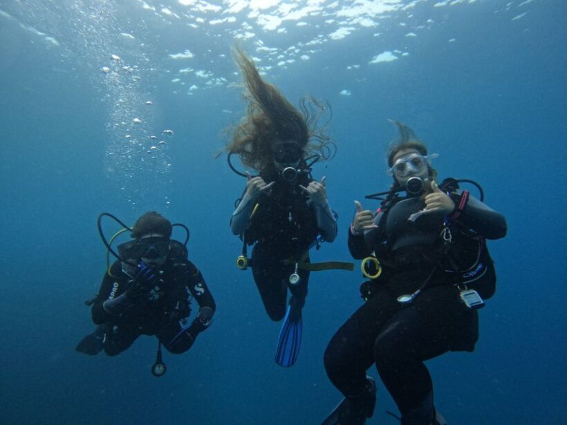 Tenerife: Puerto Colon Certified Scuba Dive by Speed Boat - The Sum Up: Who Should Consider This Tour?