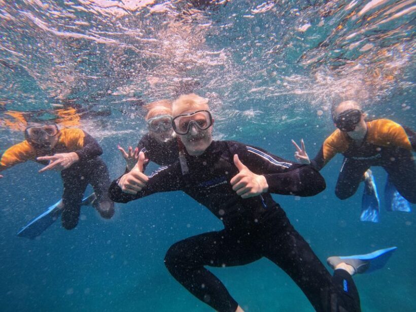 Tenerife: Puerto Colon Snorkel Safari by Speed Boat - An In-Depth Look at the Snorkel Safari Experience