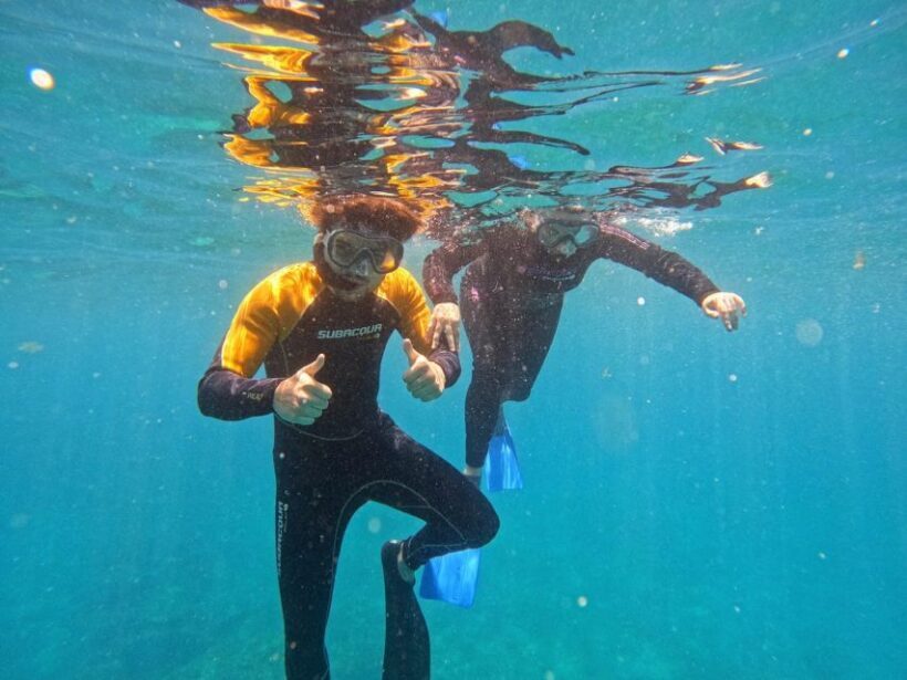 Tenerife: Puerto Colon Snorkel Safari by Speed Boat - The Value Proposition