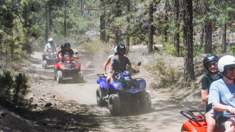 Tenerife: Quad Adventure Tour in Teide National Park - Authentic Experiences and Photo Opportunities