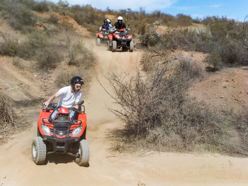 Tenerife: Quad Adventure Tour in Teide National Park - Considering the Price: Is It Worth It?