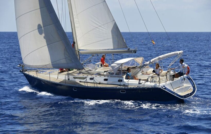 Tenerife: Sailing Excursion with Whale and Dolphin Watching - Snorkeling and Relaxation in Secluded Bays