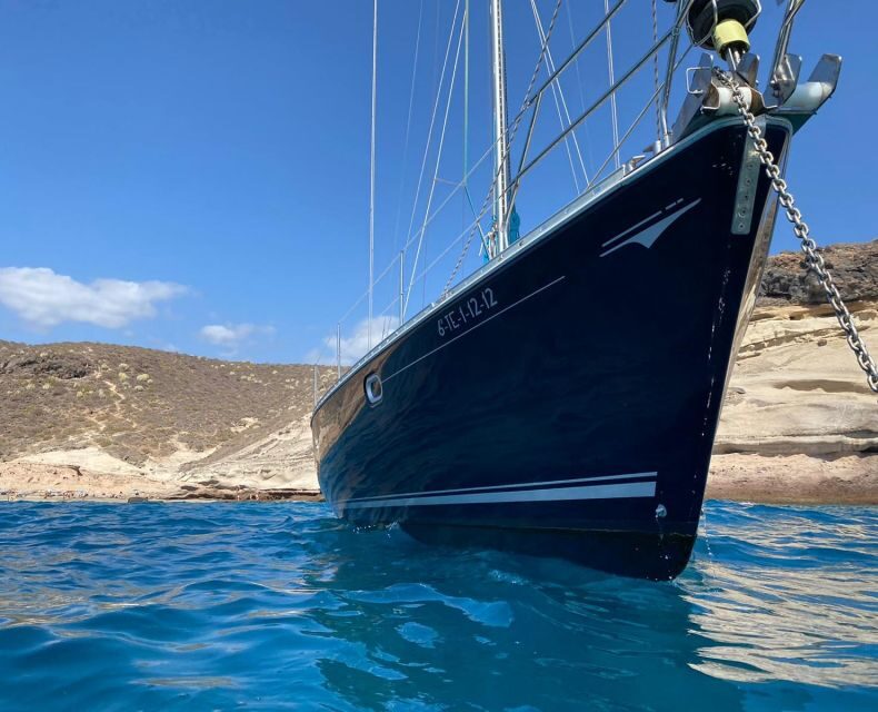 Tenerife: Sailing Excursion with Whale and Dolphin Watching - The Experience’s Strengths and Potential Drawbacks
