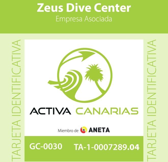 Tenerife Scuba Diving for Certified Divers - An In-Depth Look at the Tenerife Diving Experience