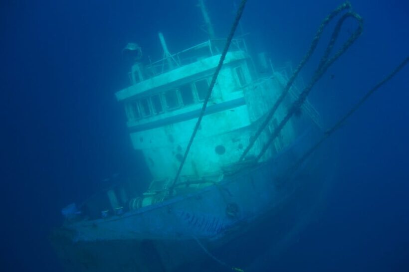 Tenerife Scuba Diving for Certified Divers - Why This Tour Offers Great Value