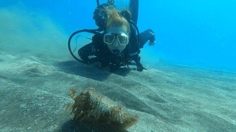 Tenerife: Scuba Diving Lesson and Abades Protected Area Dive - The Dive Itself: A Closer Look