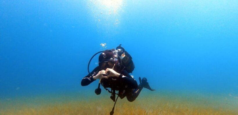 Tenerife: Scuba Diving Lesson and Abades Protected Area Dive - Why This Tour Offers Great Value