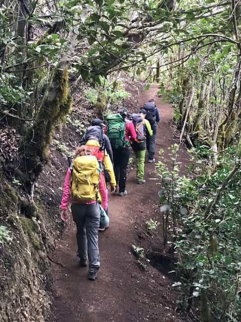 Tenerife: Senderismo Anaga, Bosque Mágico, Reserva Biosfera - Why This Tour Delivers Great Value