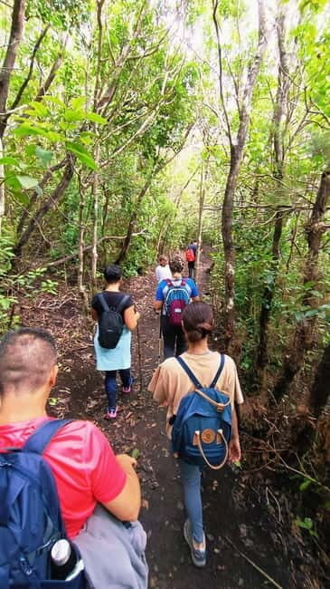 Tenerife: Senderismo Anaga, Bosque Mágico, Reserva Biosfera - The Sum Up
