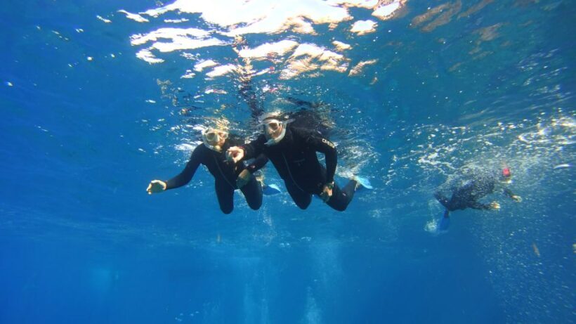 Tenerife: Snorkel with Turtles - What We Learned from Reviews