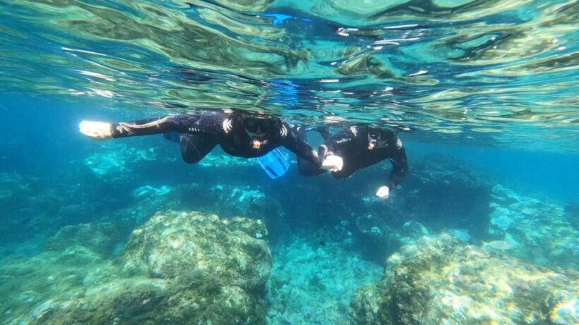 Tenerife: Snorkeling Tour in a Marine Protected Area - An Introduction to the Experience