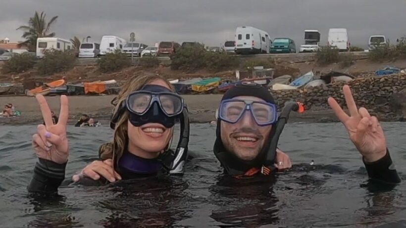 Tenerife: Snorkeling Tour in a Marine Protected Area - Wildlife Encounters and Ethical Guidelines