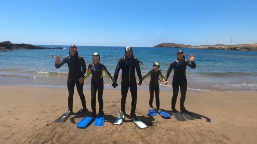 Tenerife: Snorkeling Tour in a Marine Protected Area - The Gear and Safety Measures