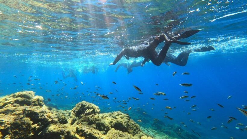 Tenerife: Snorkeling Tour in a Marine Protected Area - Pricing and Value