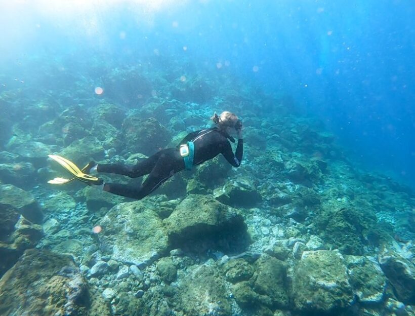 Tenerife : Snorkeling underwater with freediving Instructor - Experience Highlights Based on Reviews
