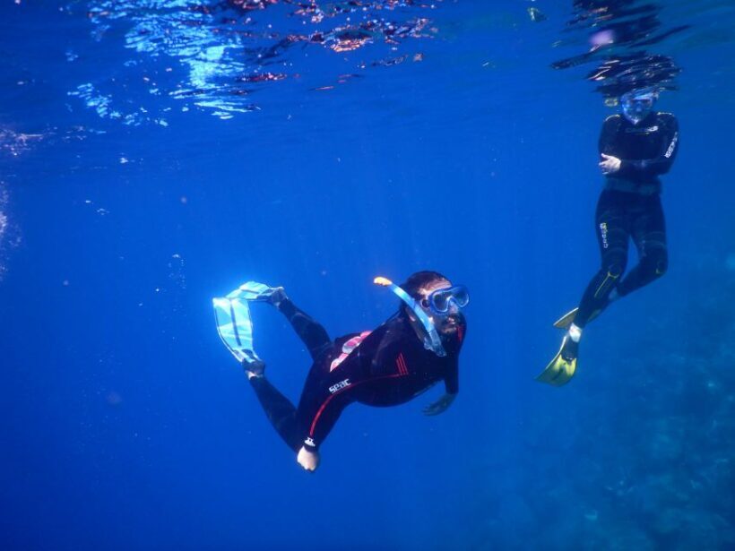 Tenerife : Snorkeling underwater with freediving Instructor - FAQ